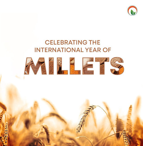 International Year of Millets - Millets And The World – Nisarg Nutritions